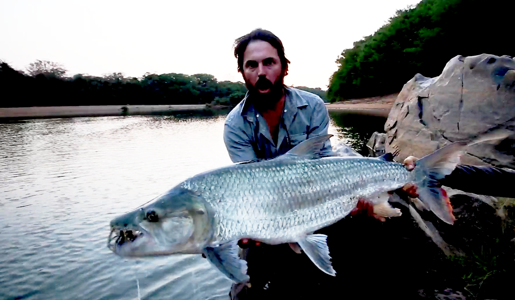 Tigerfish en République Centrafricaine - Le Mouching